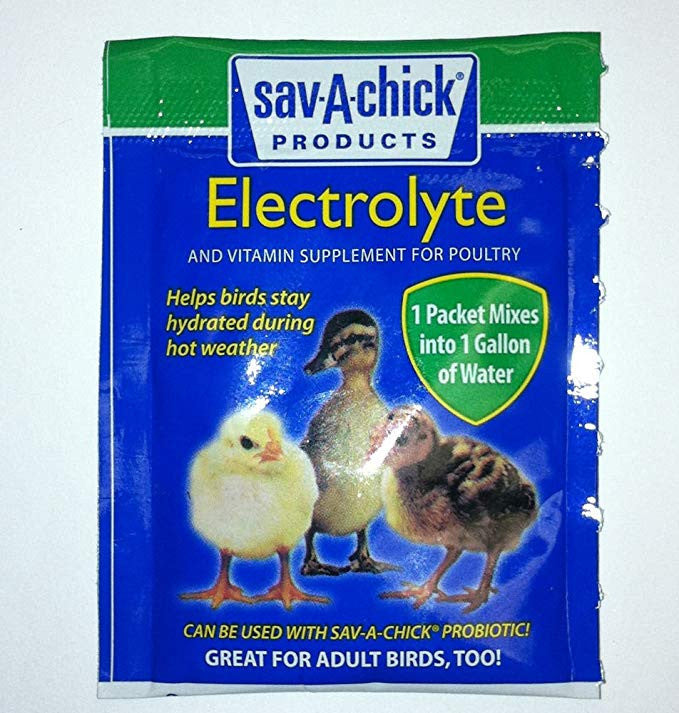 Save-A-Chick Electrolyte - 3 Pack – JRG Livestock & Pet Supply